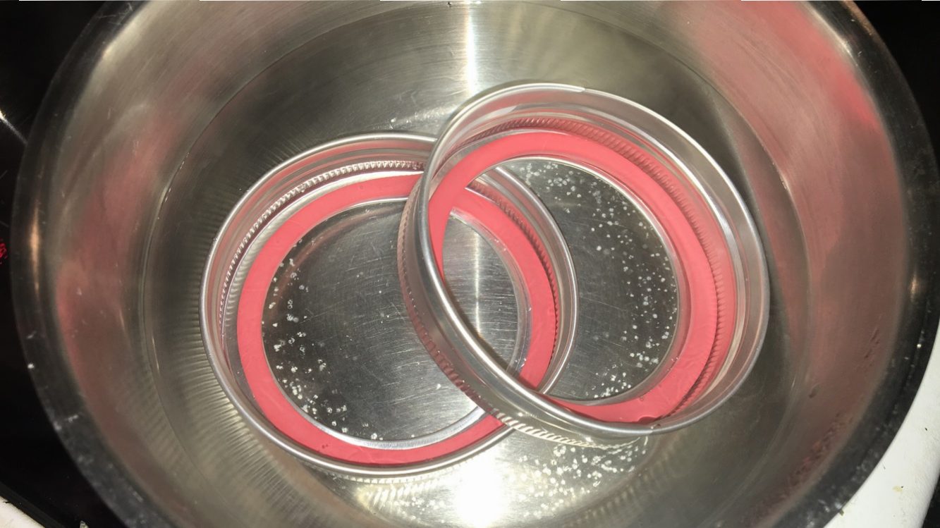 Safting, sylting og hermetisering – stinebf